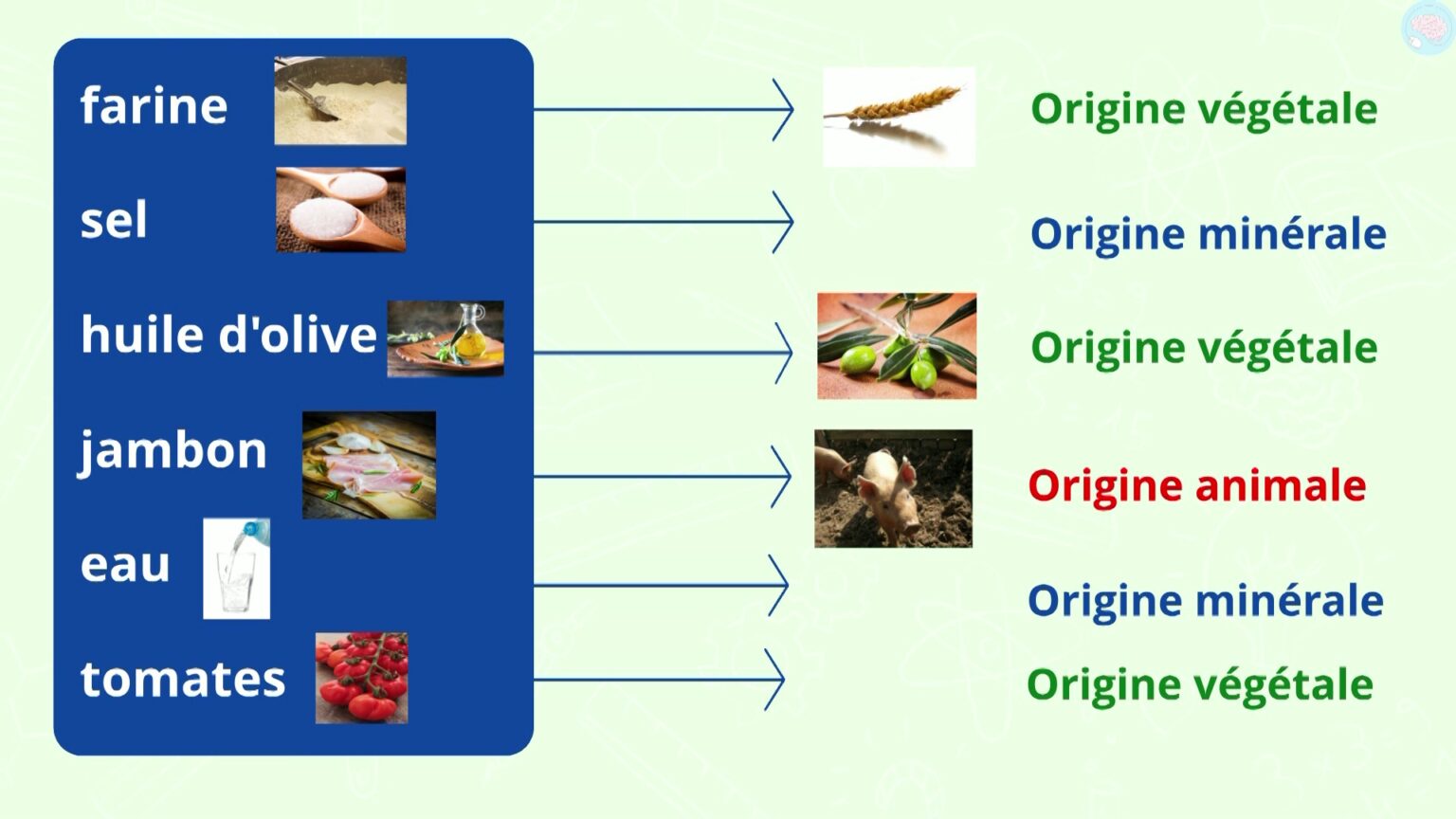 L'origine des aliments en classe de CP CE1 CE2 - Maître Lucas L'origine des aliments en classe de CP CE1 CE2 - Maître Lucas