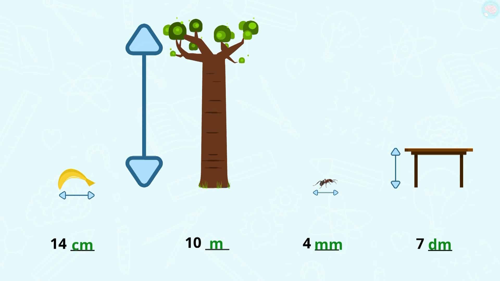 Unités de mesure : mm, cm, dm et m CE1 CE2 - Maître Lucas Unités de mesure : mm, cm, dm et m CE1 CE2 - Maître Lucas