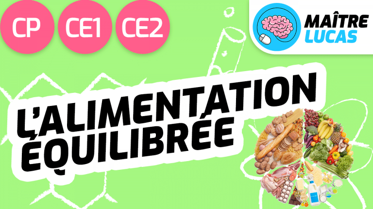 L'alimentation équilibrée pour élèves de CP CE1 CE2 Maître Lucas L'alimentation équilibrée pour élèves de CP CE1 CE2 Maître Lucas